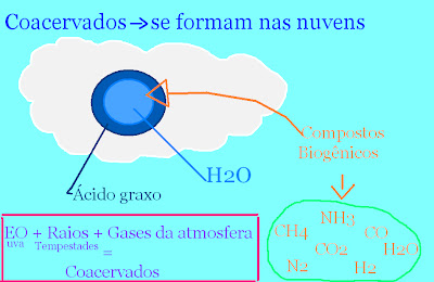 ciencias 7° ano: Química Pré-Biótica