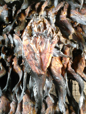 Peluang dan Resep Ikan Lele Asap - Ikan Lele - Salai - Alami