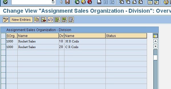 Assign Division to Sales Organization in SAP