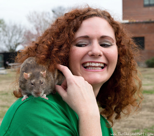 Healing Whiskers: Why Therapy Rats?