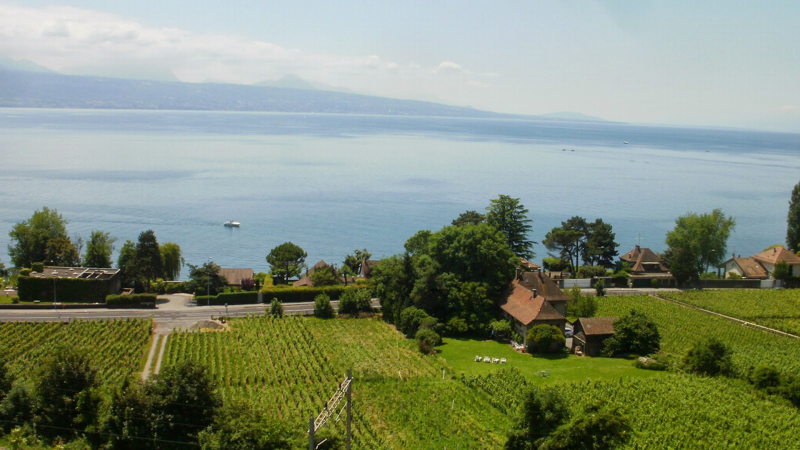 EXCURSII CU BICICLETA: Elvetia