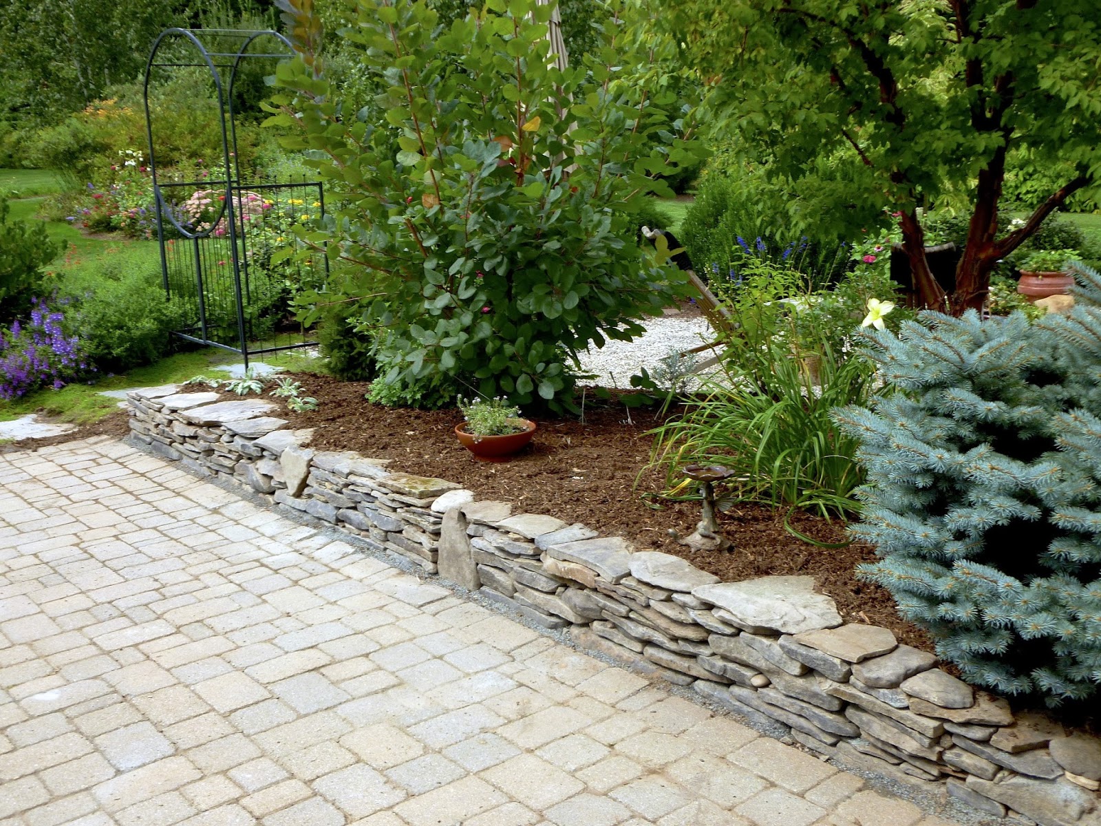 Plant Inventory at 20 Timothy : Stone Walls