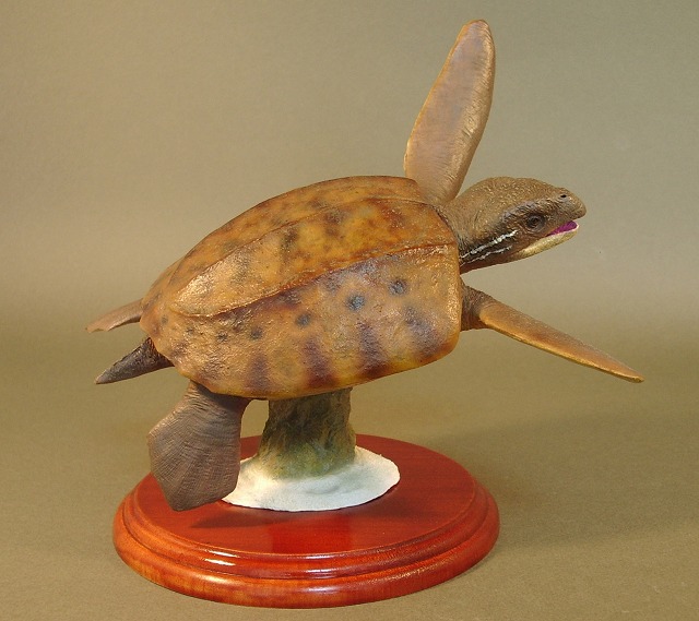 Hirokazu Tokugawa's Paleo Sculpture: Archelon (2006)