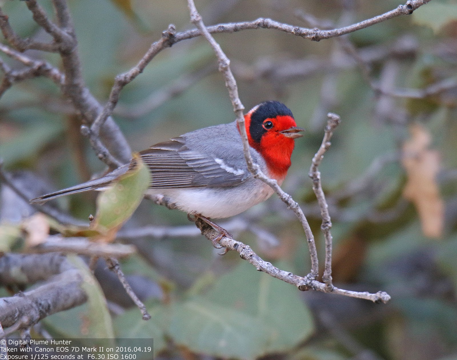 Hunting Digital Plumes in the US and Beyond: A Perfect Ten: Signature ...