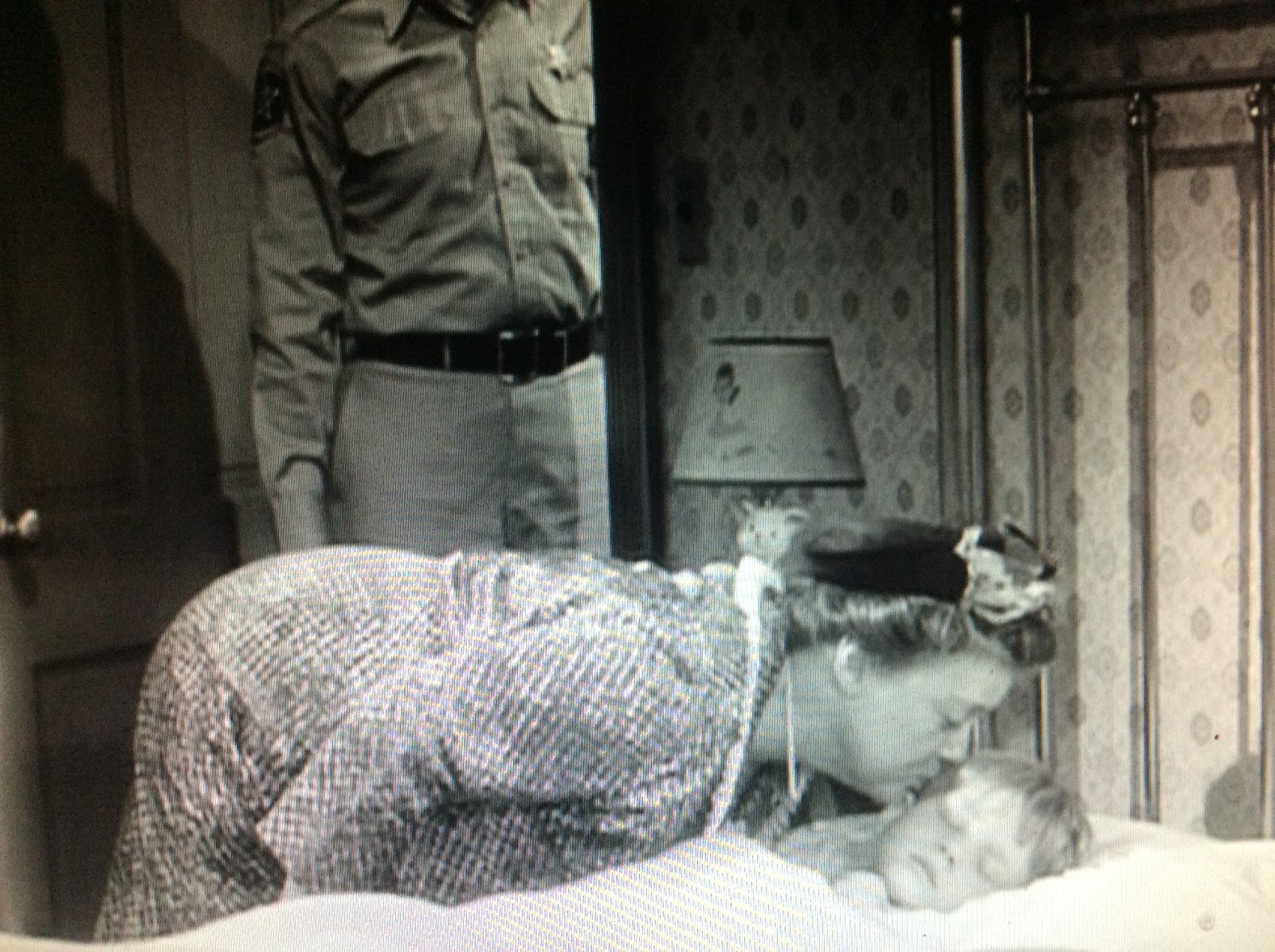 Strangers & Pilgrims on Earth: Remembering Aunt Bee ~ A Guest Post