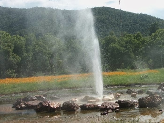 Andy foto natura: Geiser