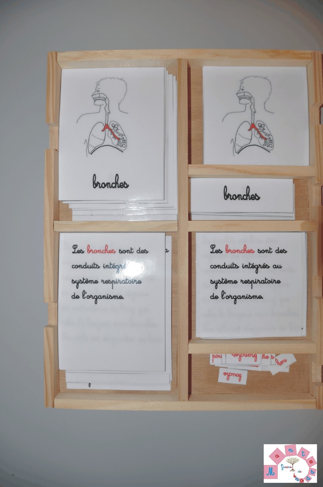 ma petite fabrique montessori: le corps humain