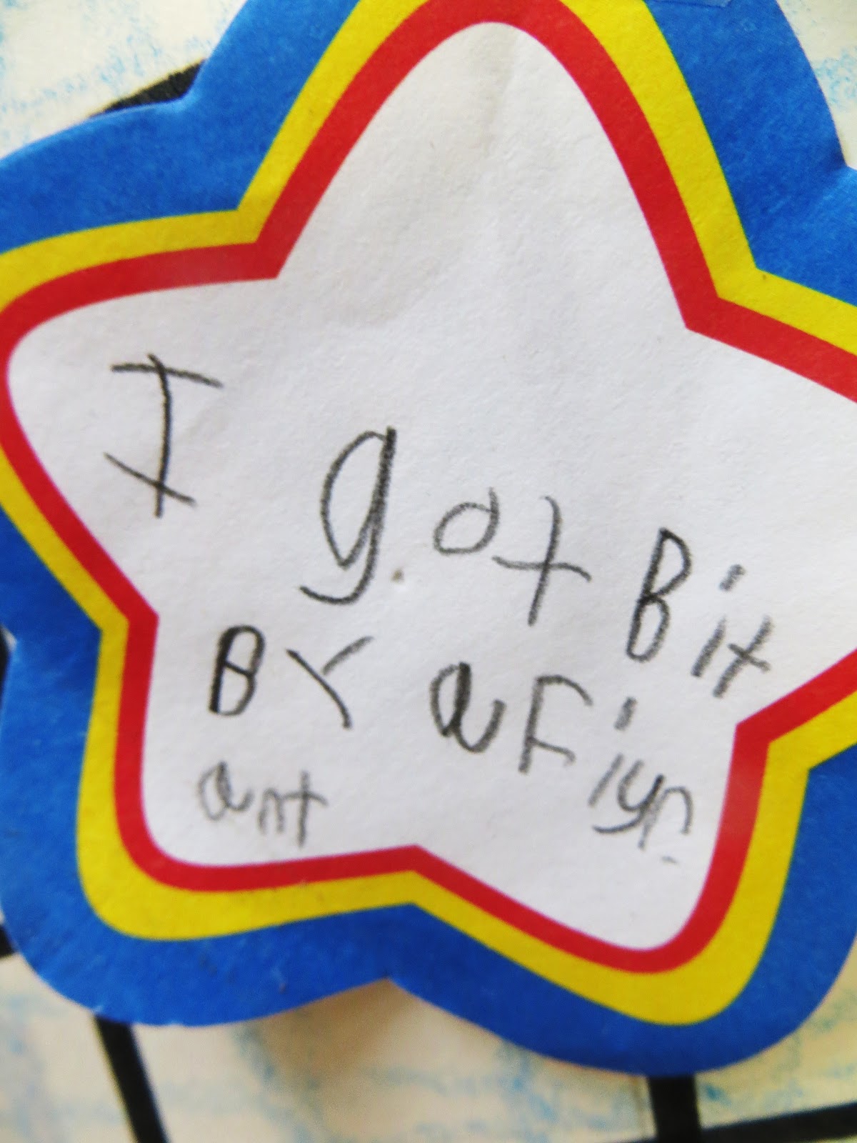 first-grade-wow-catch-a-small-moment