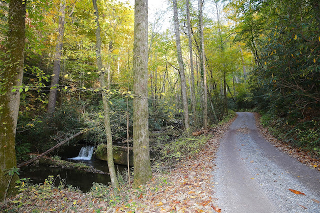 Sweet Southern Days: Parson Branch Road In The Great Smoky Mountains ...