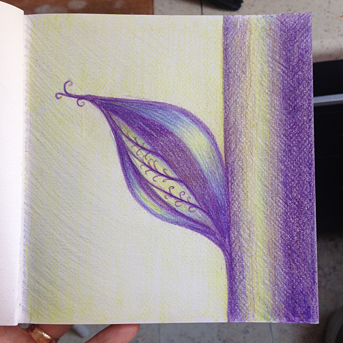 Pencil drawing of a purple flower | Boriana Art Blog
