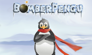 bomber pengu - France news collections