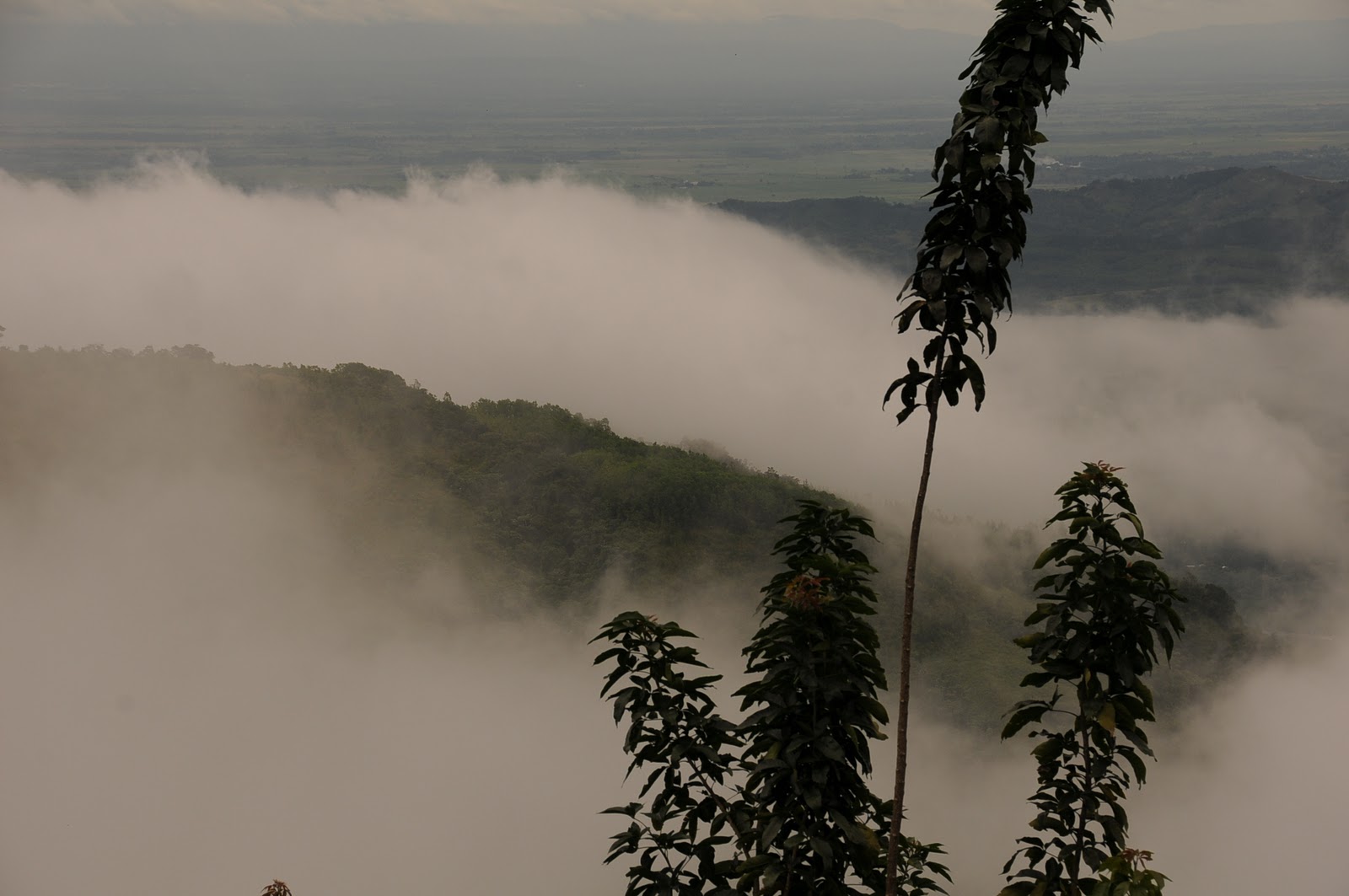 República Dominicana en El Caribe: Laderas atrapa nubes un espectáculo ...