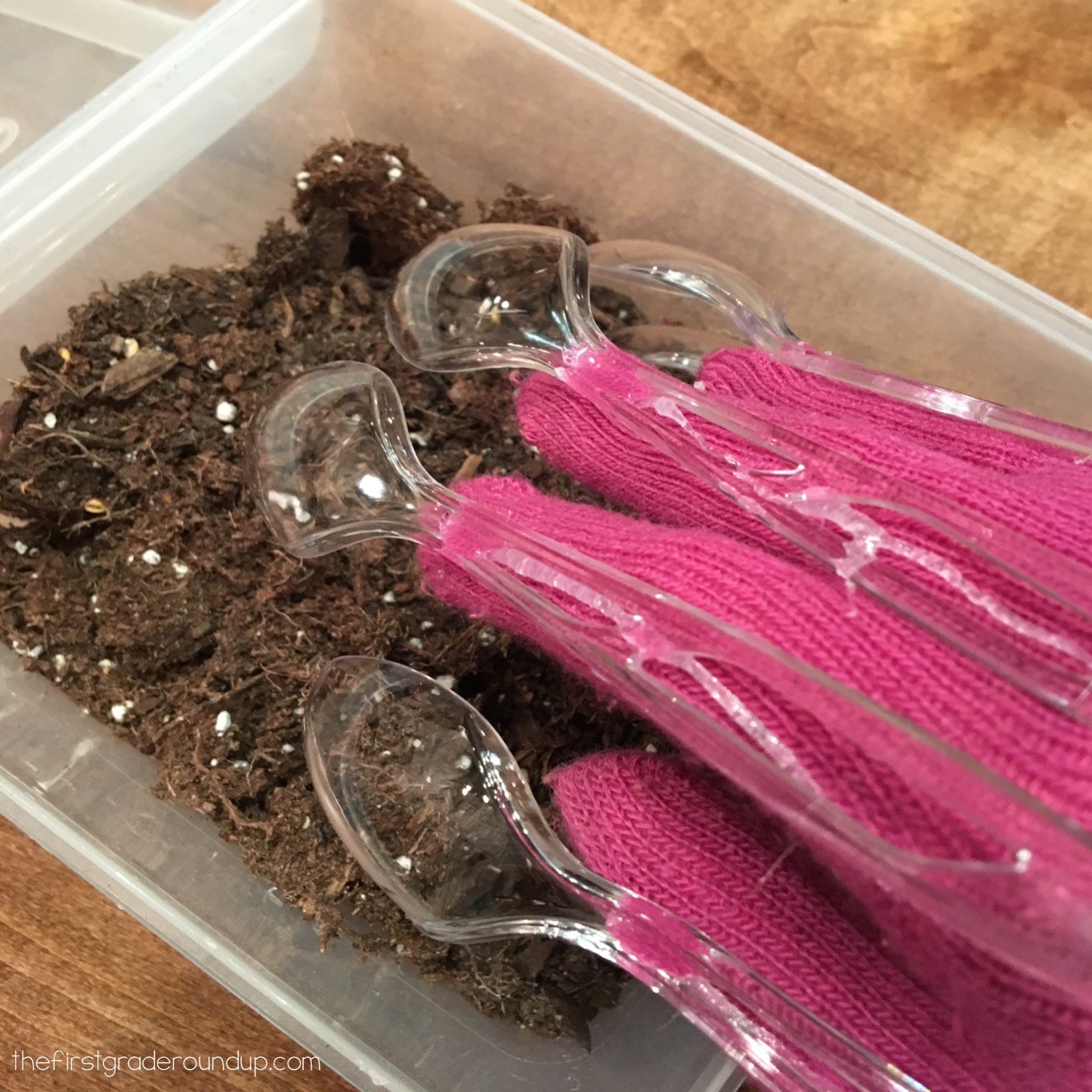 8 animal adaptations science stations 1st graders beg to do - The First ...