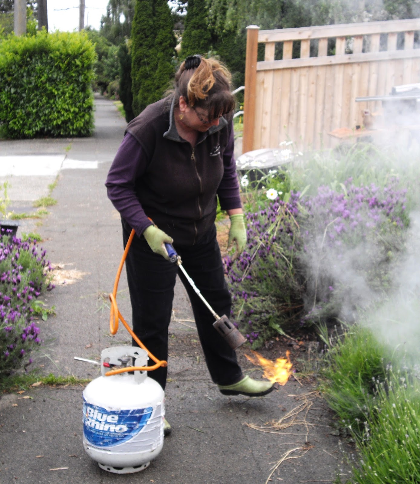 Mog Cottage Urban Farm: Weeding With A Flame Thrower
