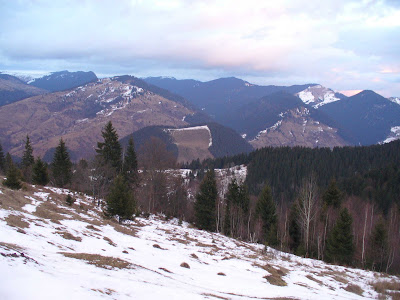 FOTOGRAFIA ZILEI - ORASUL BROSTENI