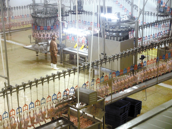 Dim Sums: Rural China Economics and Policy: Industrializing Chicken ...