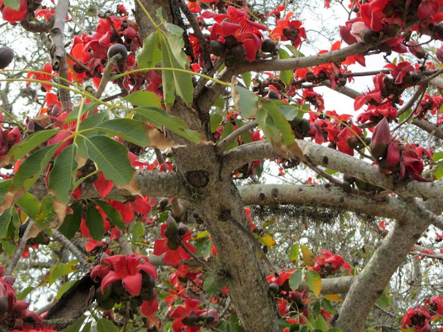 June 2013 - ARUNACHALA LAND