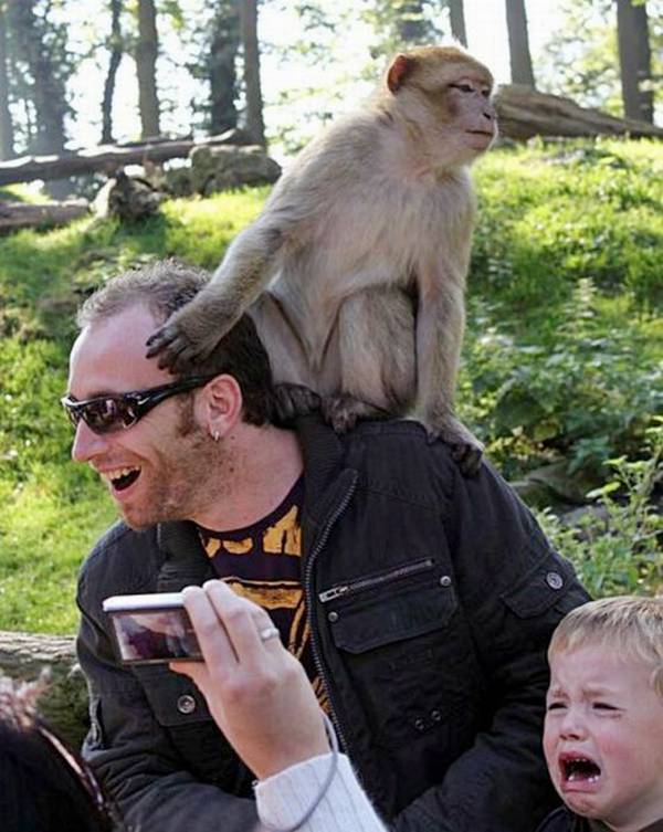 Woow One - Car: World amazing pictures, Funny images