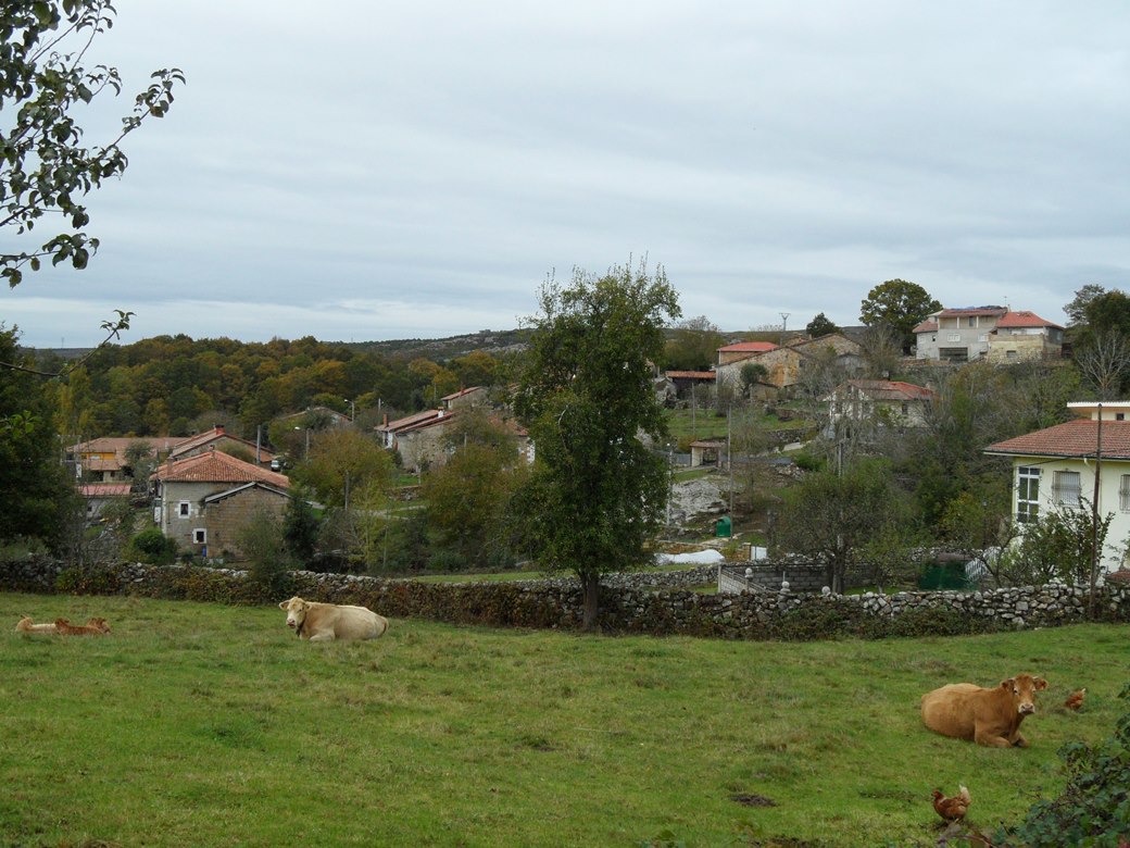 Tierras de Burgos: Ahedo de las Pueblas