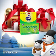 SweetChicx Delight : Ginkgo Biloba: Maintain a Good Mind and Do Best in ...