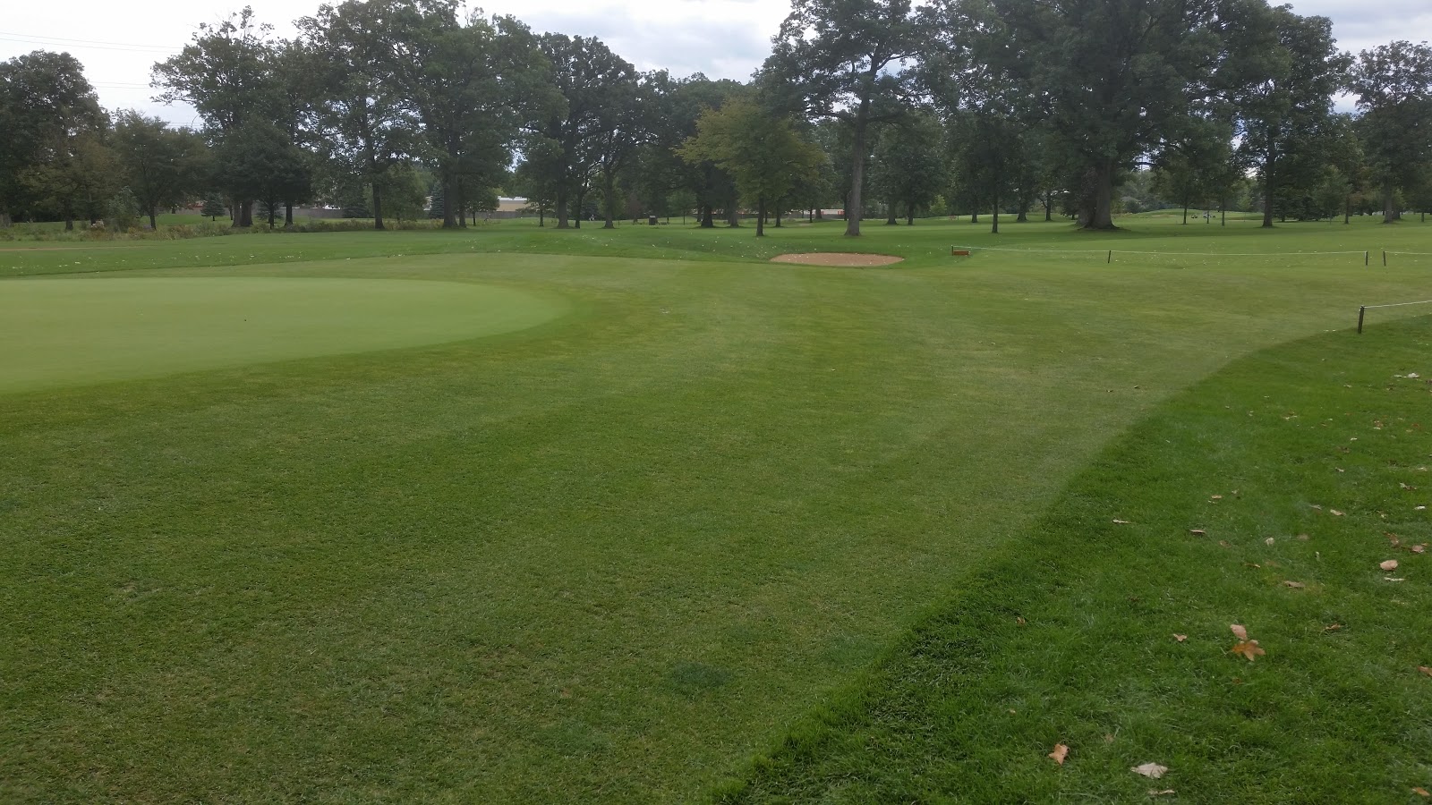 Wilmette Golf Club Grounds and Greens : Fairways, Approaches, and Seeding