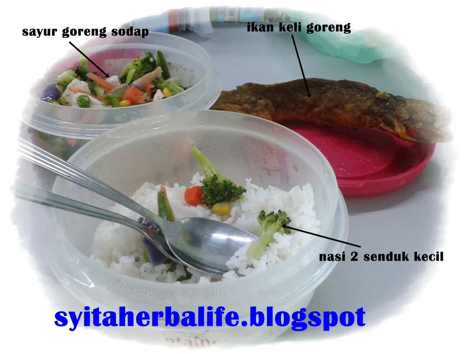 sharing an experience: resepi diet sihat