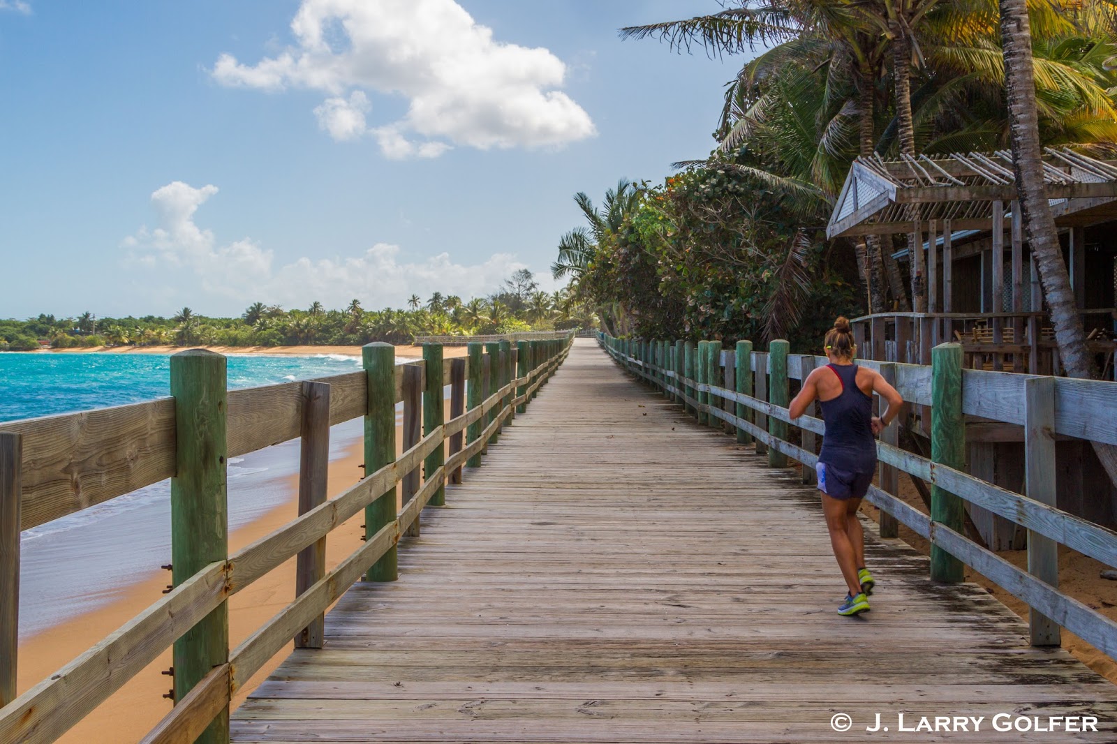 Piñones Trail: Biking, Beaches, Boardwalks, Birds, and a Blue Lizard