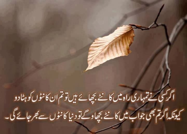 getty images and pictures: Achi Achi baatein (wise quotes in urdu)