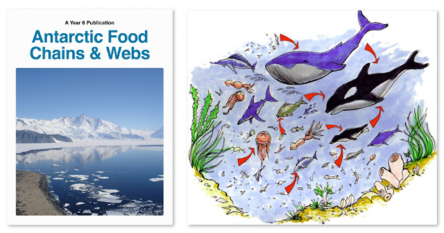 6A 2013: Antarctic Food Chains & Webs