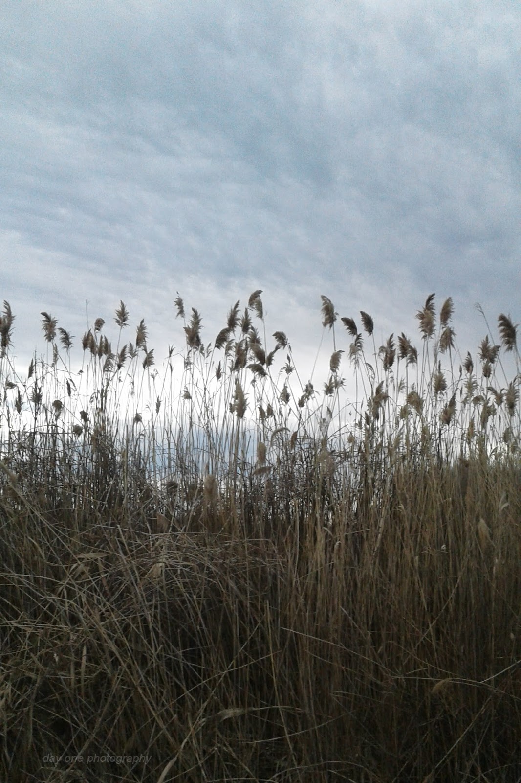 Day One Photography: Rainy April