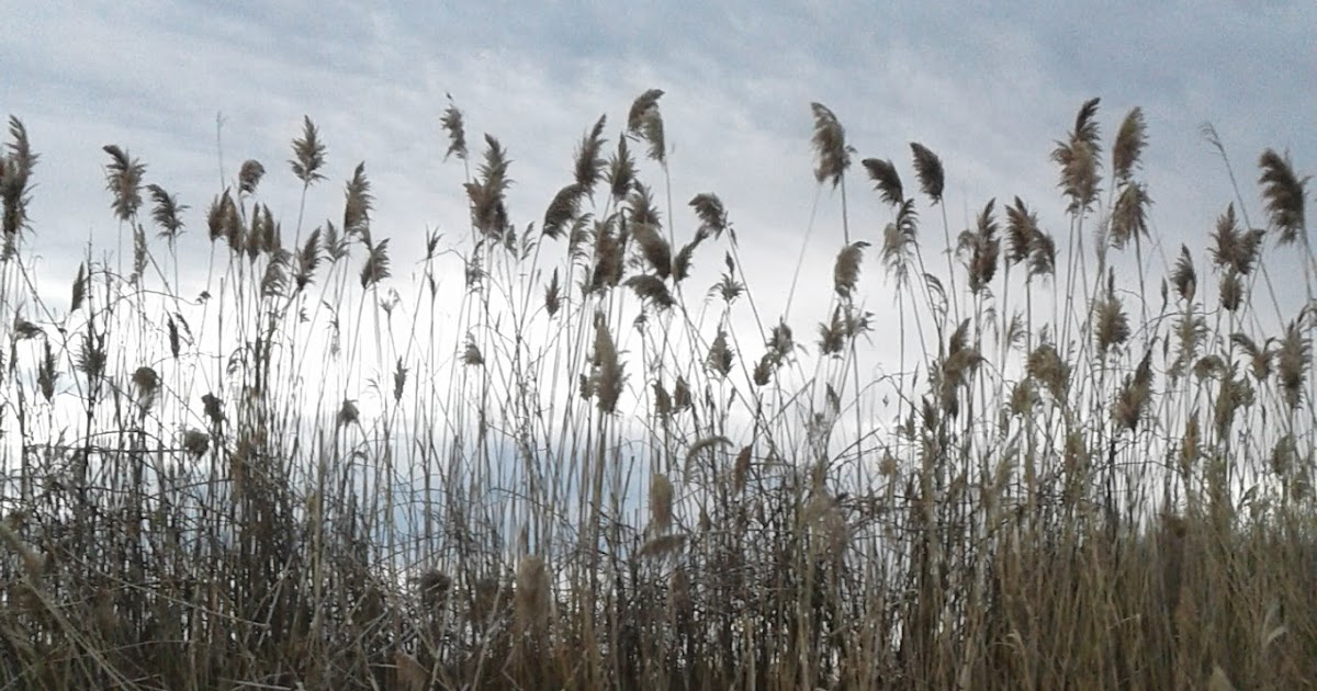 Day One Photography: Rainy April