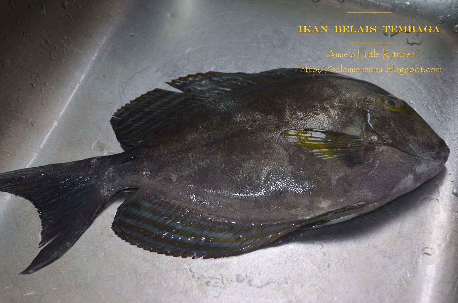 Peria Masak Kari, Sambal Mangga, Ikan Sulig & Belais Tembaga Goreng ...