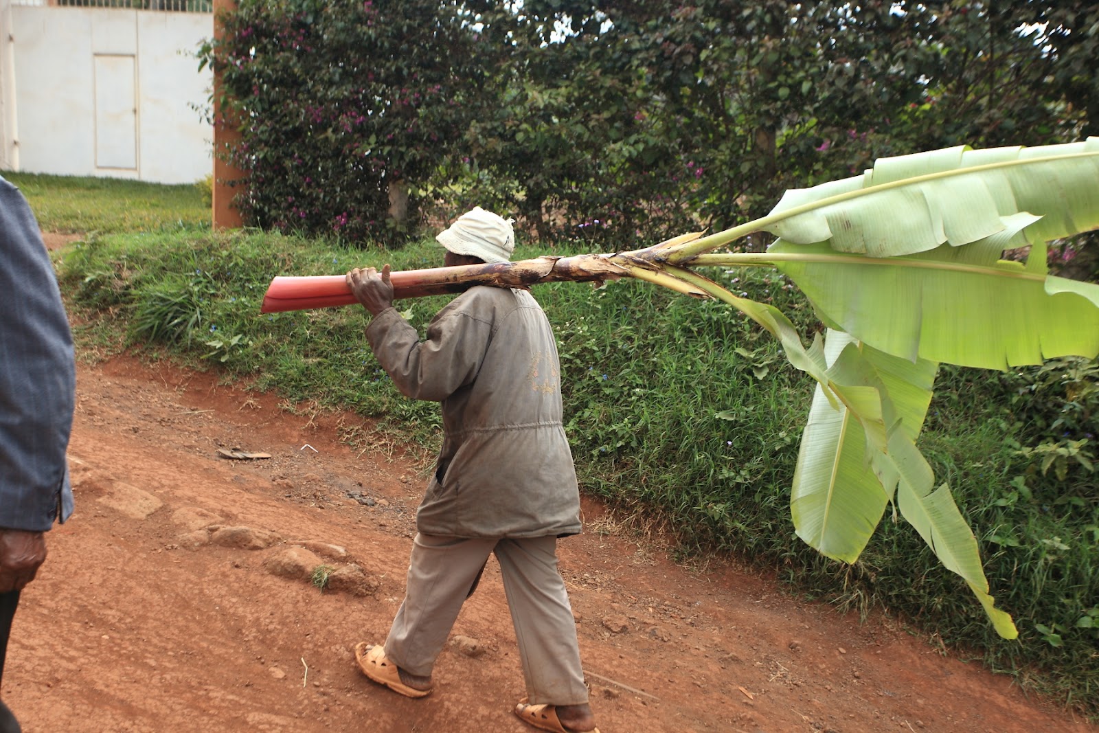 MATUKIO @ MICHUZI BLOG: Amazing Moshi