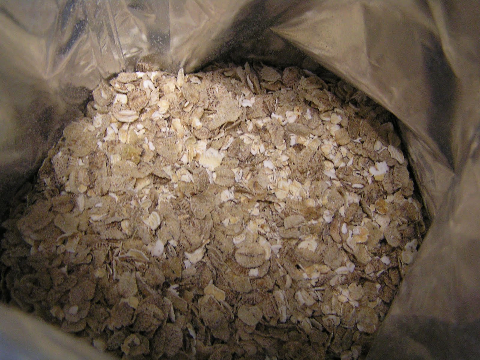 Charlotte Orr: Quick Barley & Oats review