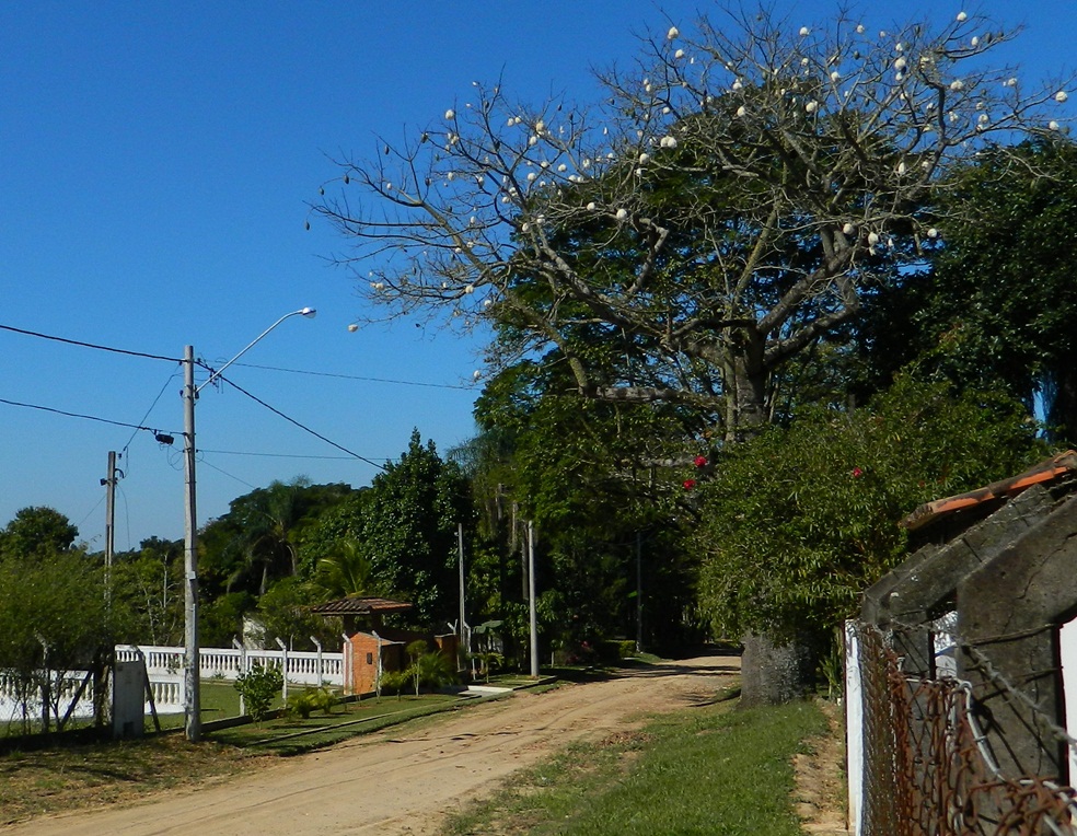 Olhares de Indaiatuba: Monte Mor SP