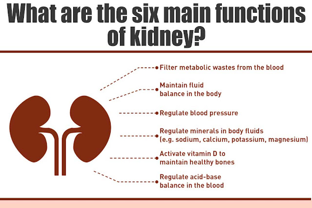 Dr. Puneet Dhawan, Ayurvedic Nephrologist: What Are The Six Main ...