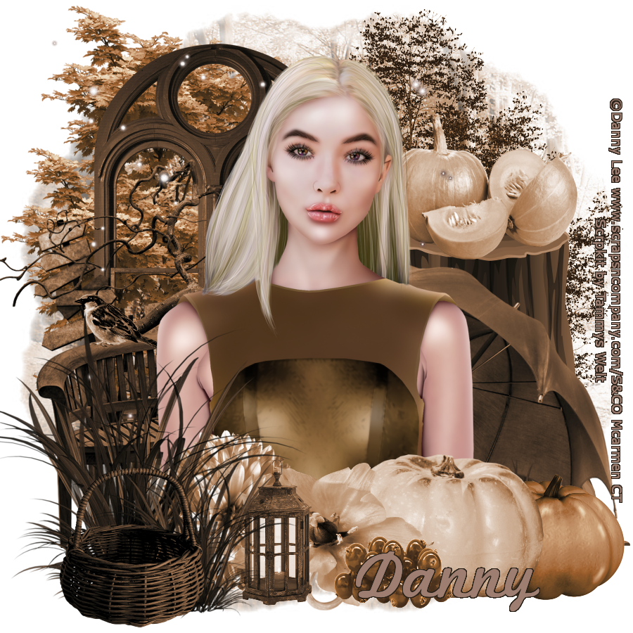 Carmen designs: Harvester Pumpkin Dress
