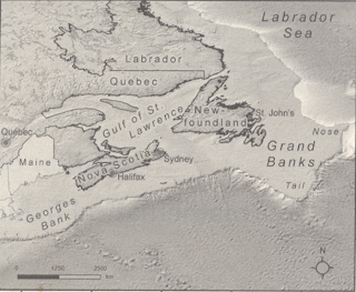 bensozia: Grand Banks Cod are Finally Recovering