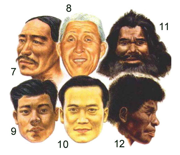 ΦΥΛΕΤΙΚΑ: Ζωγραφιές φυλετικών τύπων του κόσμου - Dobzhansky