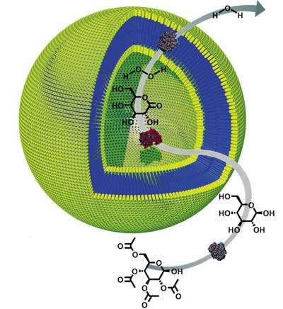Nano Technologia: Nano Reactor