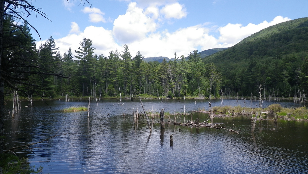 Dave'n'Kathy's Vagabond Blog: 13 Falls Backpack