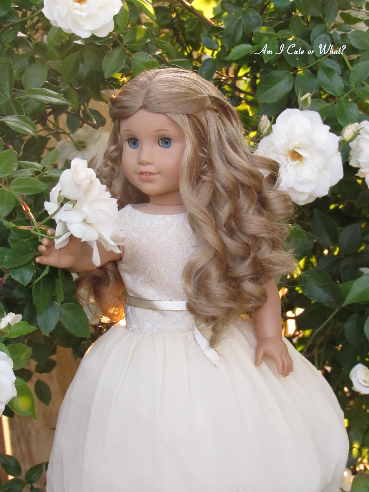 A Focus on the Cute: Princess Elizabeth ~ An American Girl Photo Shoot
