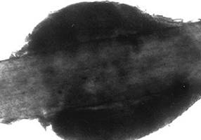 Burbuja Rosa: ~PIEDRAIA