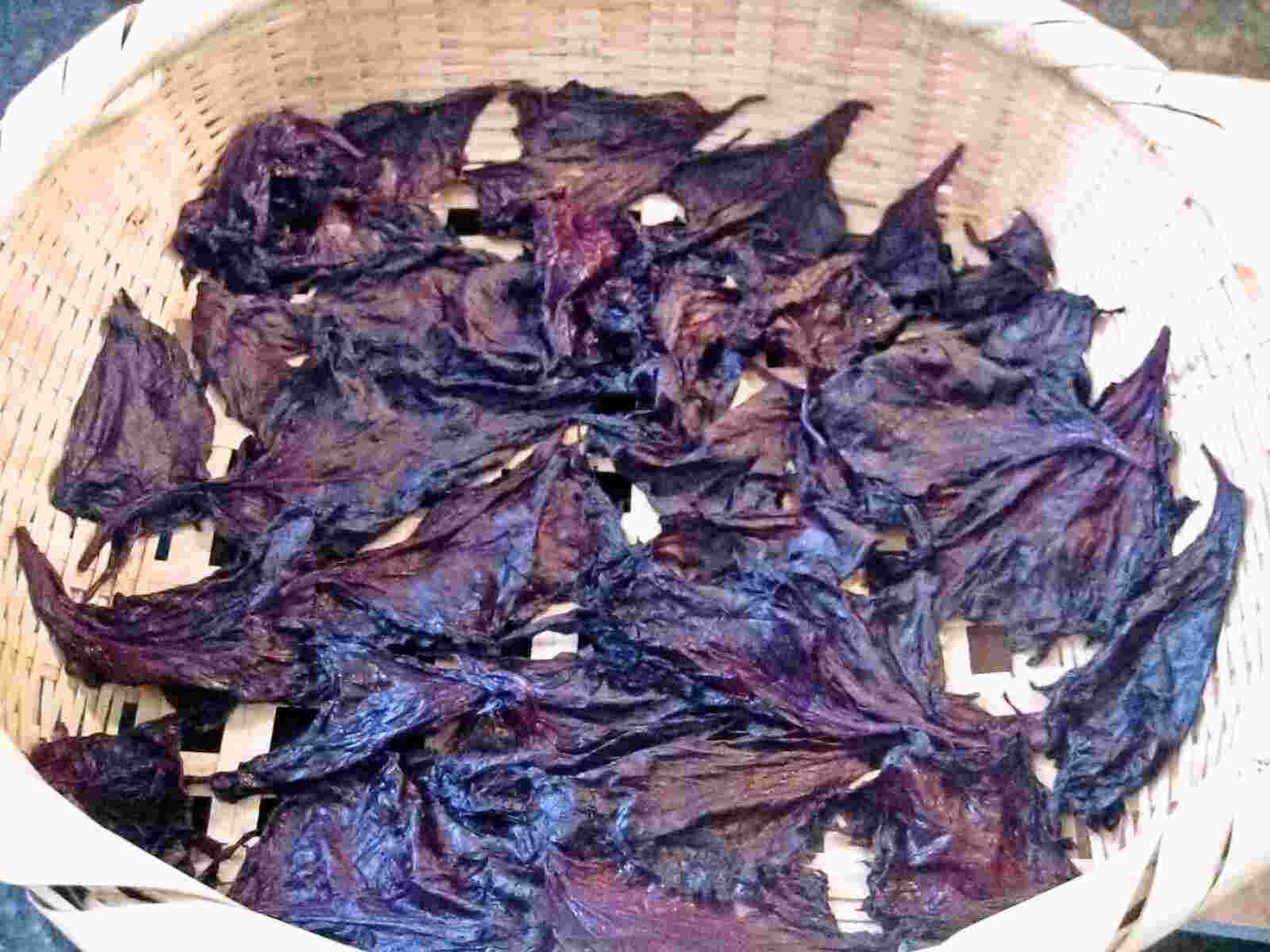 Recipes for Tom: Akajiso no furikake / purple perilla leaf topping for ...