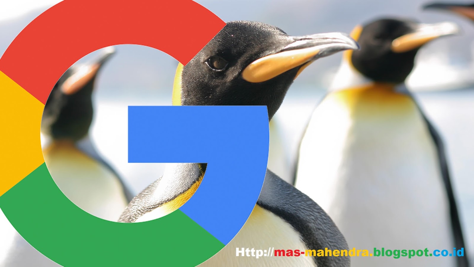 Google Penguin Baru Update Algorithm Tidak Terjadi Sampai Tahun Depan ...