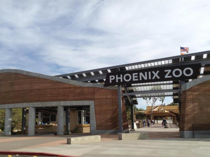 A Day At the Phoenix Zoo