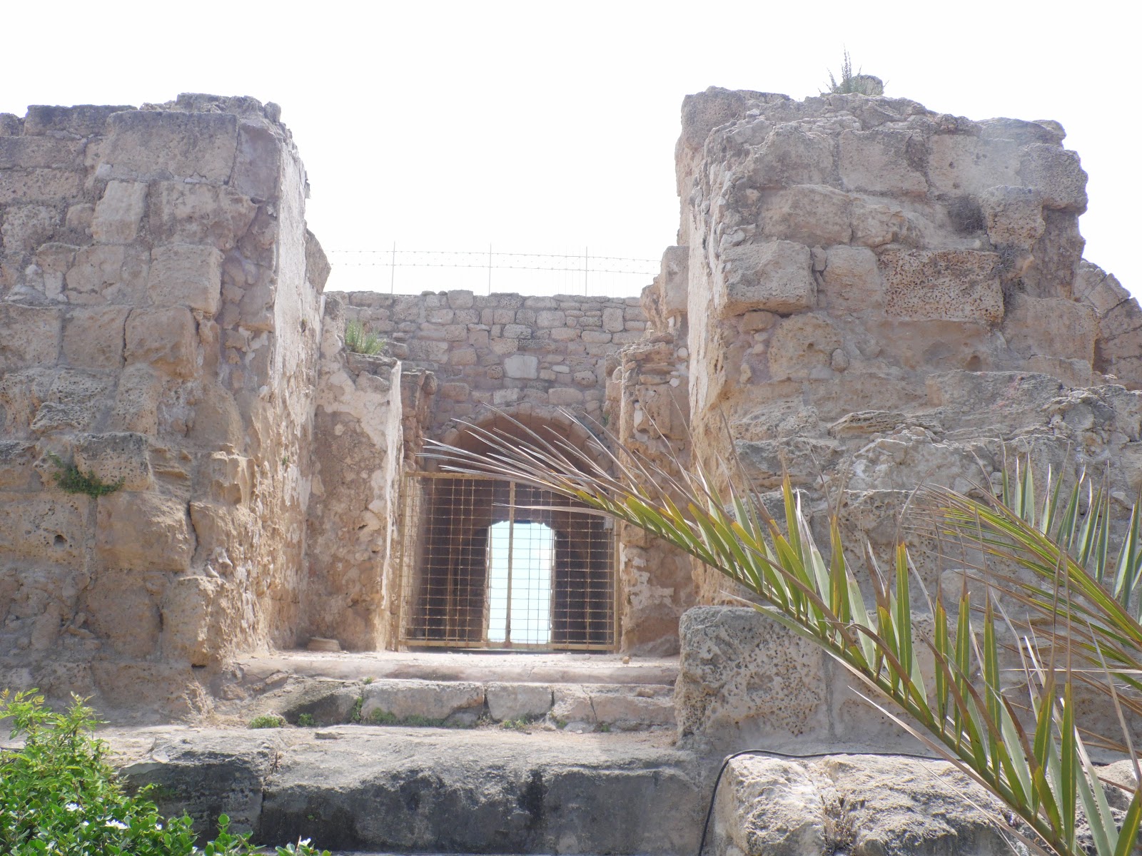 JOELINA A REPÓRTER NO MUNDO