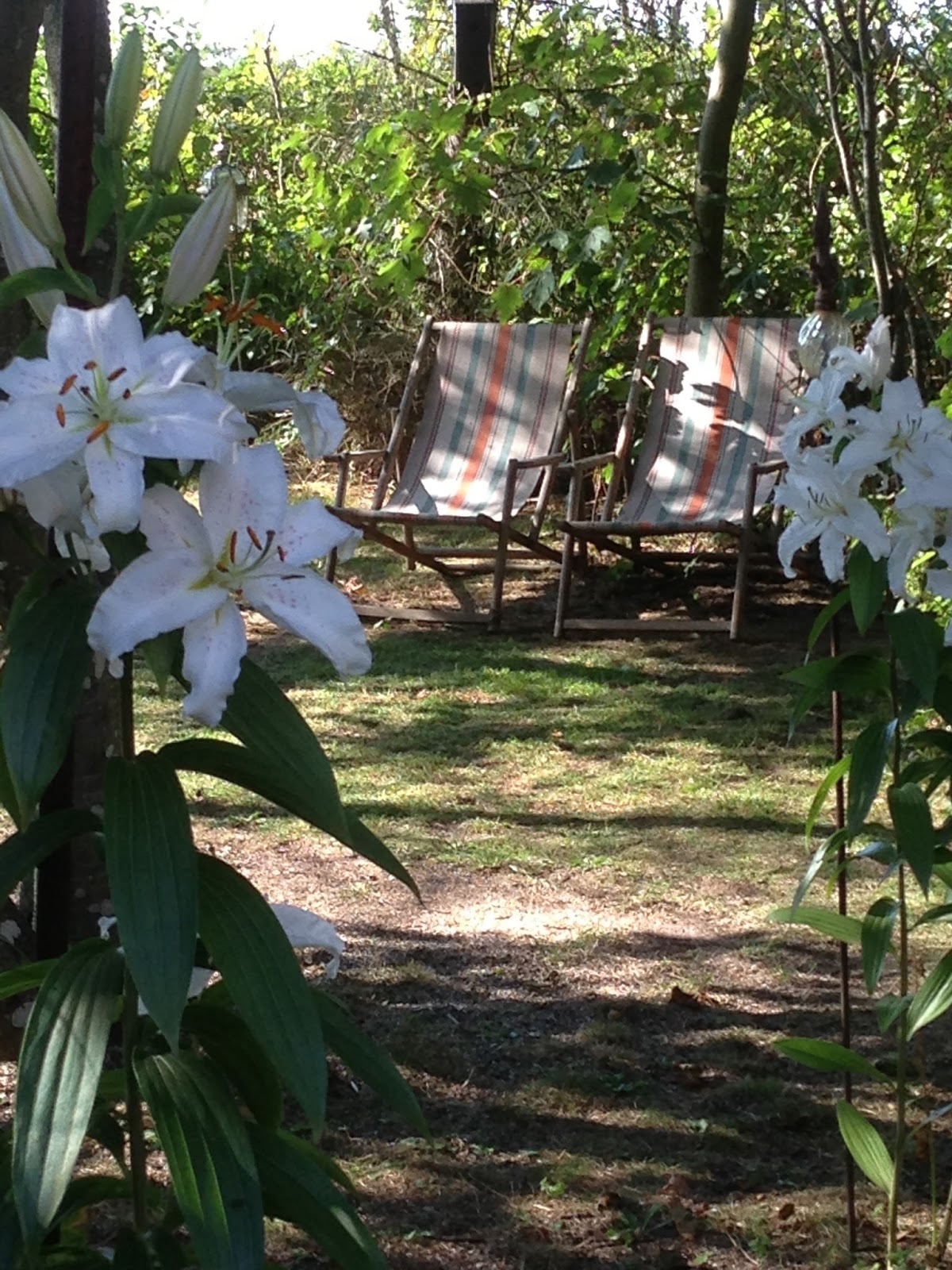 Fru Pedersens have: Liggestole og hvide liljer.