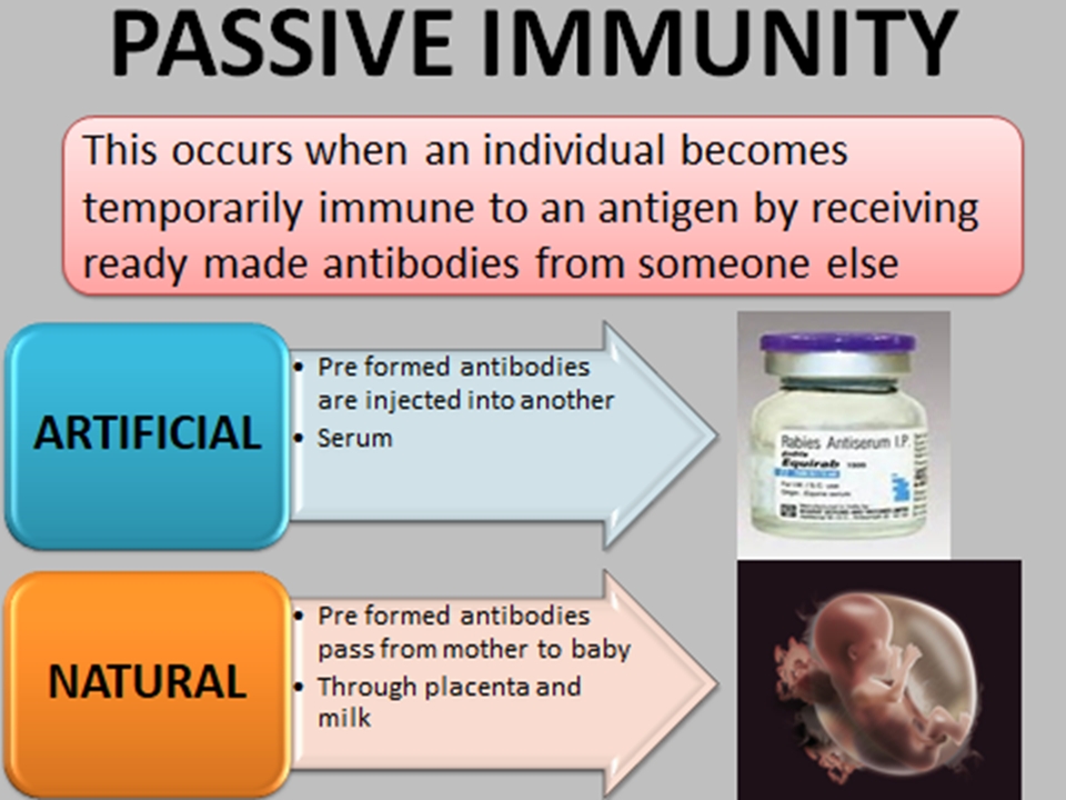 Grade 11: Chapter 5 - IMMUNITY