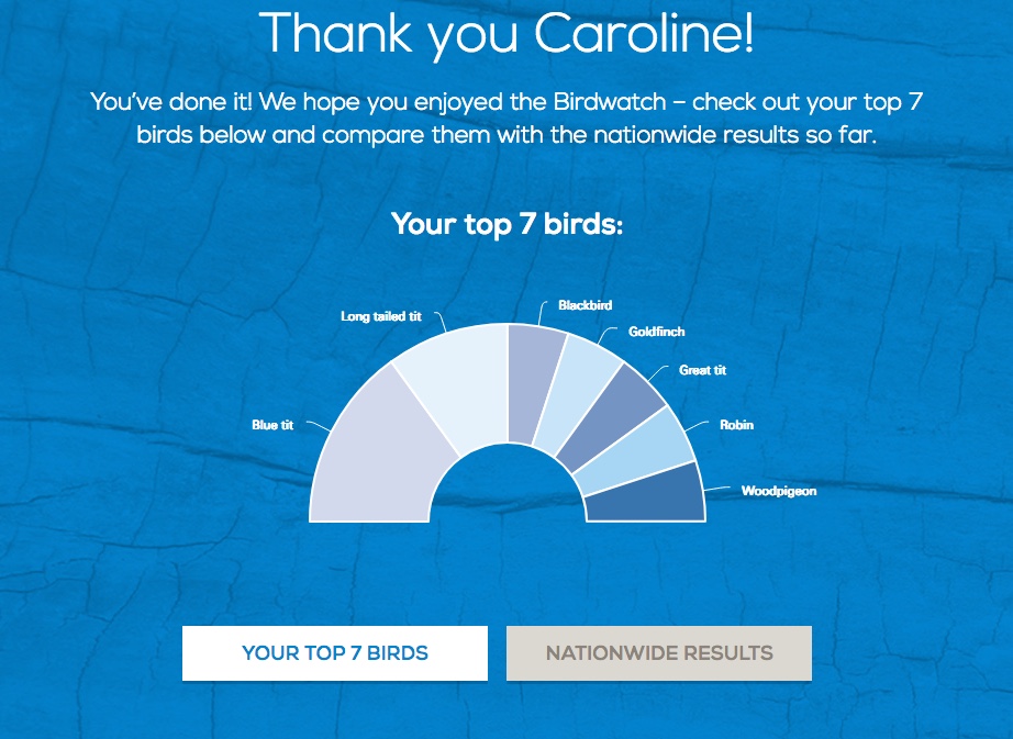 Wild and Wonderful: RSPB Big Garden Birdwatch 2019